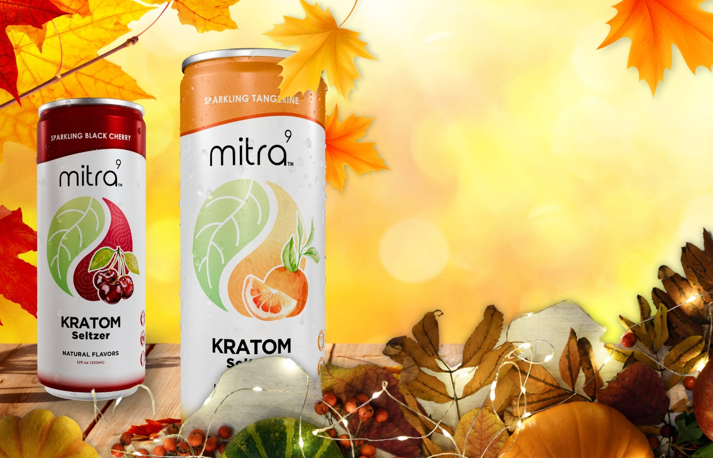 Top 5 Thanksgiving Movies to Enjoy with Kratom Drinks - Mitra9